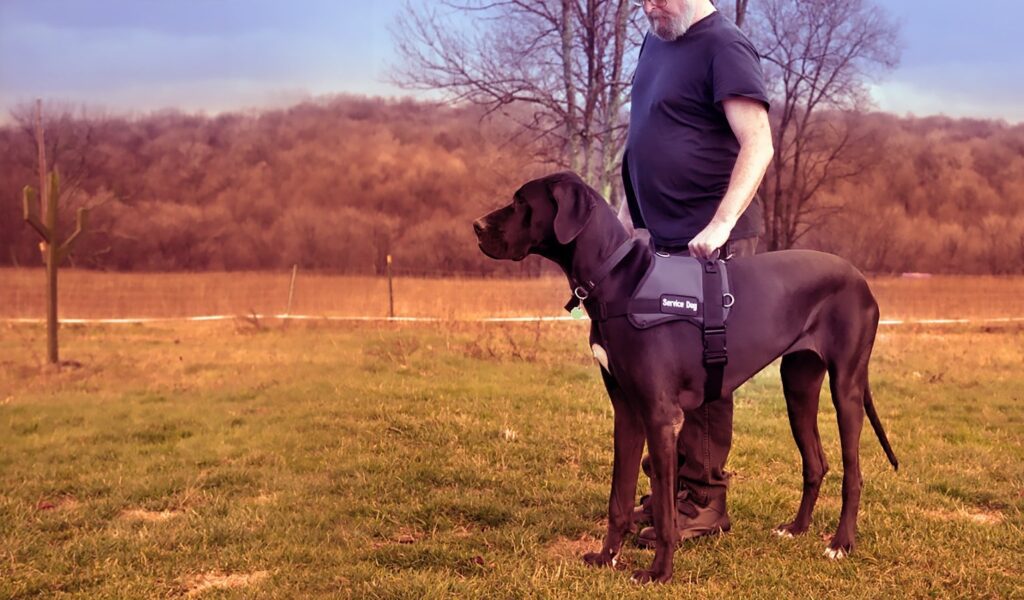 10 Surprising Autumn Service Dog Safety Tips - AmeriDisability