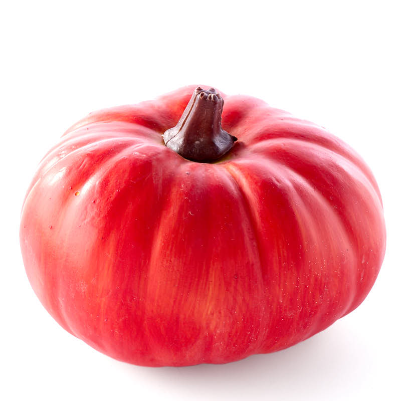 Colored Pumpkins Boldly Promote Disability Inclusion & Other Efforts ...